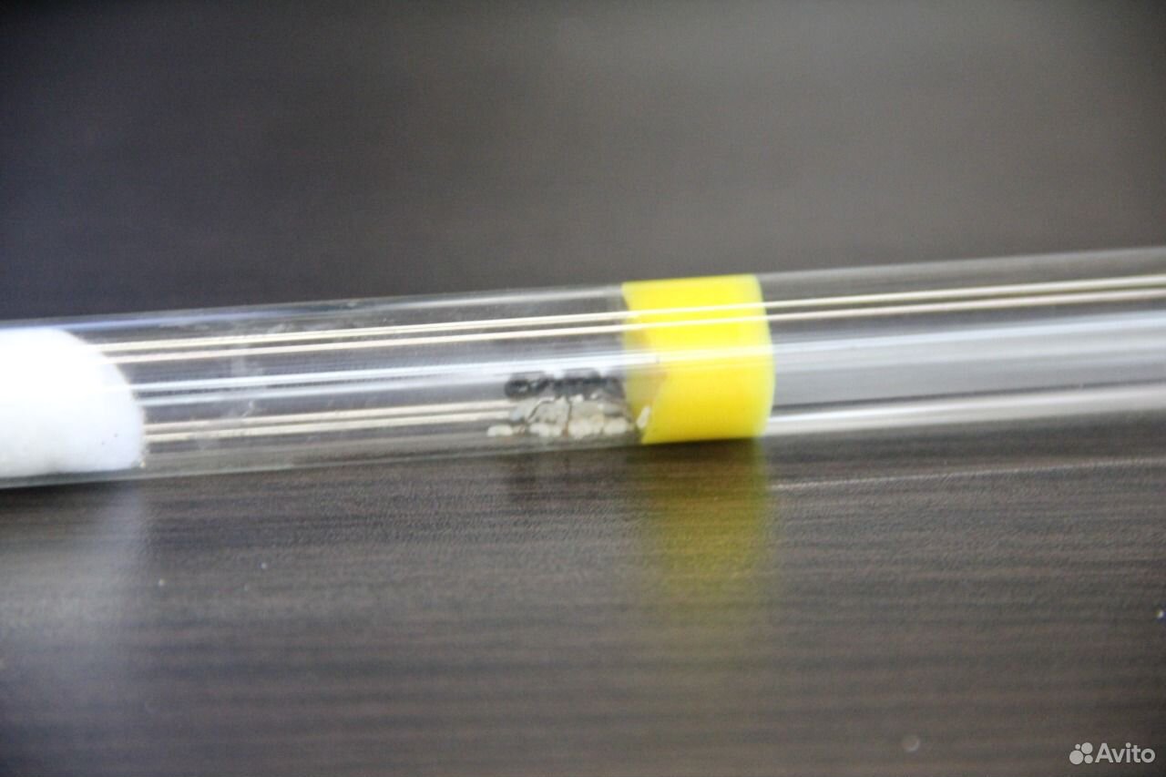 Муравьи Messor Structor