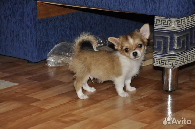 Комфортный малыш