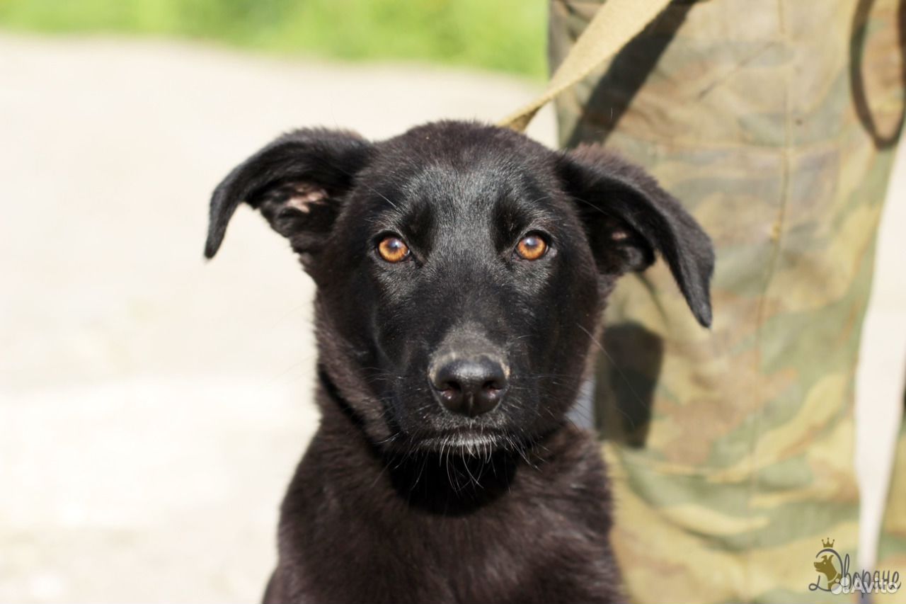 Ищем для Умняшки самых лучших и добрых людей