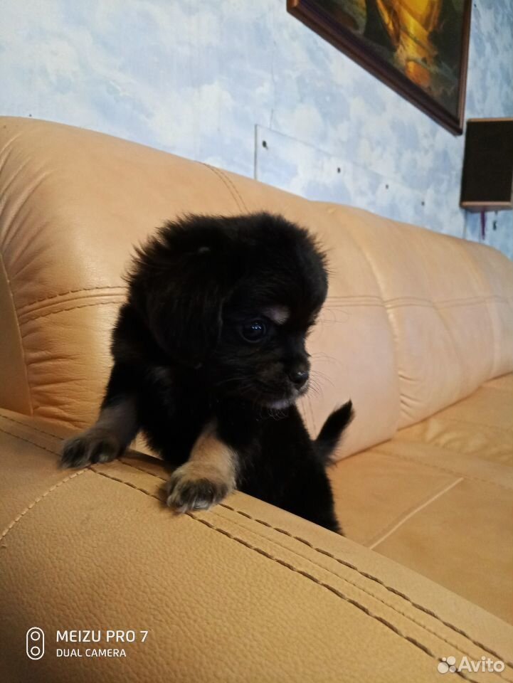 Чудесный мальчик)