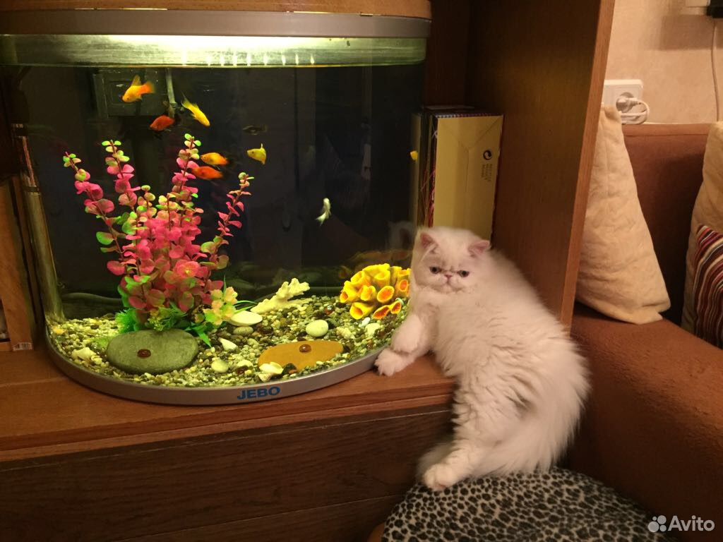 Аквариум jebo r760