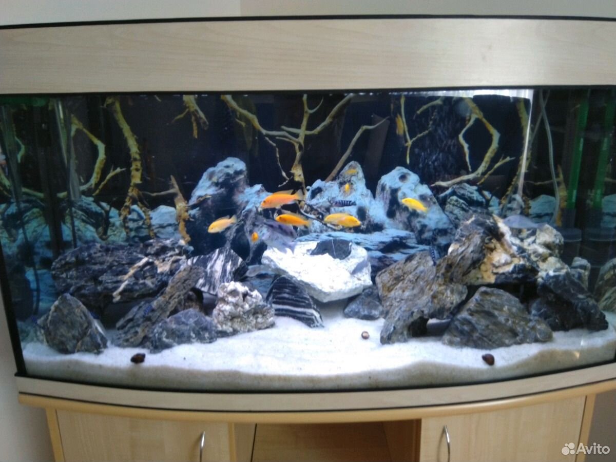 Аквариум панорамный 300л