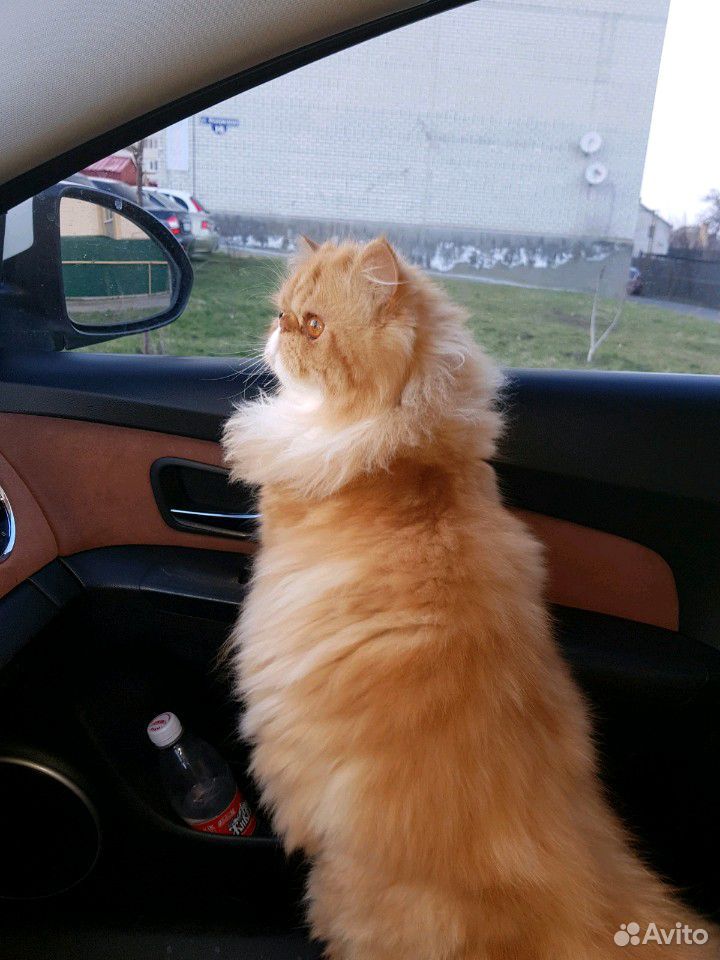 Котик для вязки