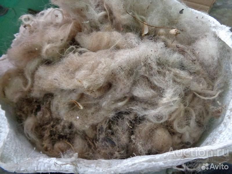Шерсть овечья