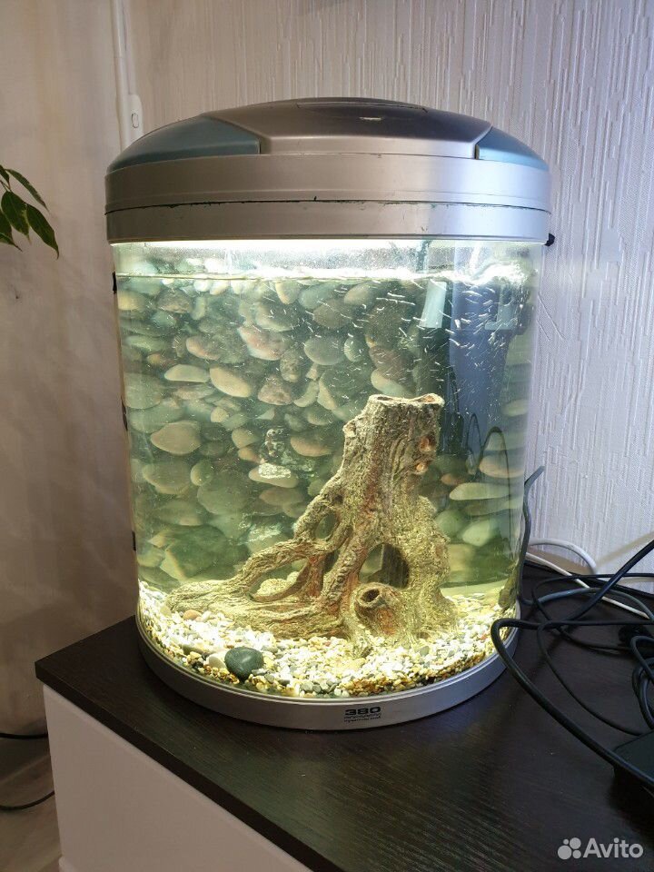 Аквариум