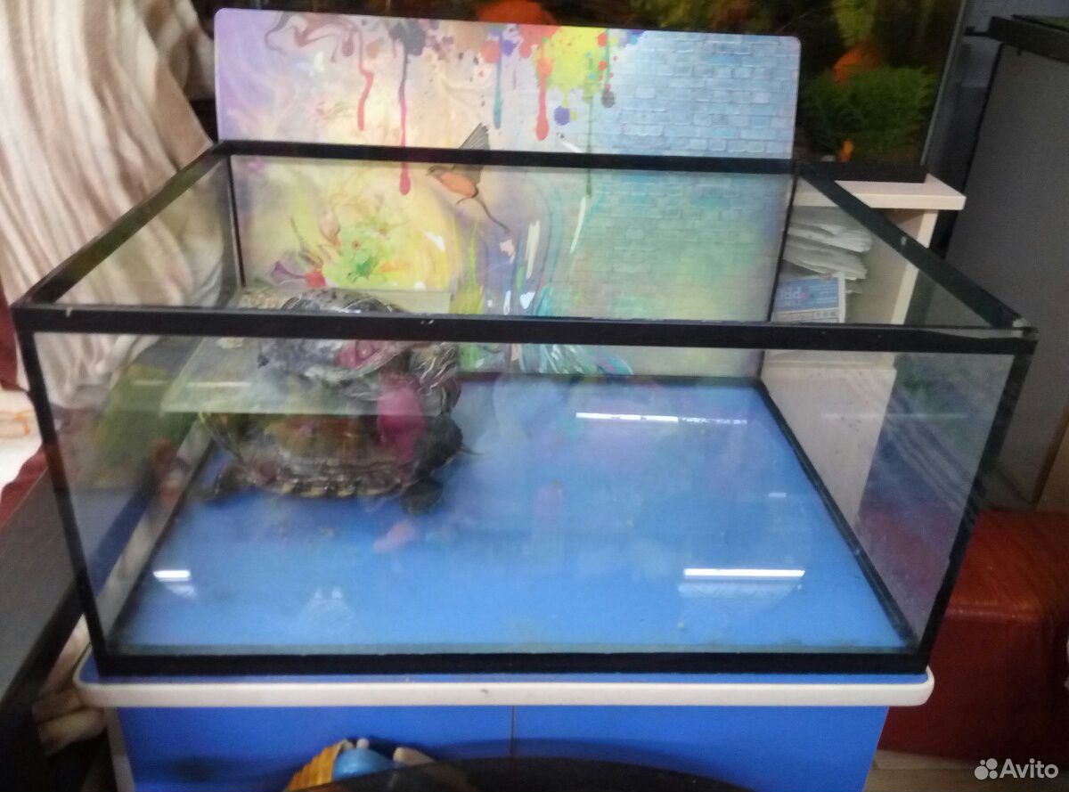 2 красноухие черепахи и аквариум