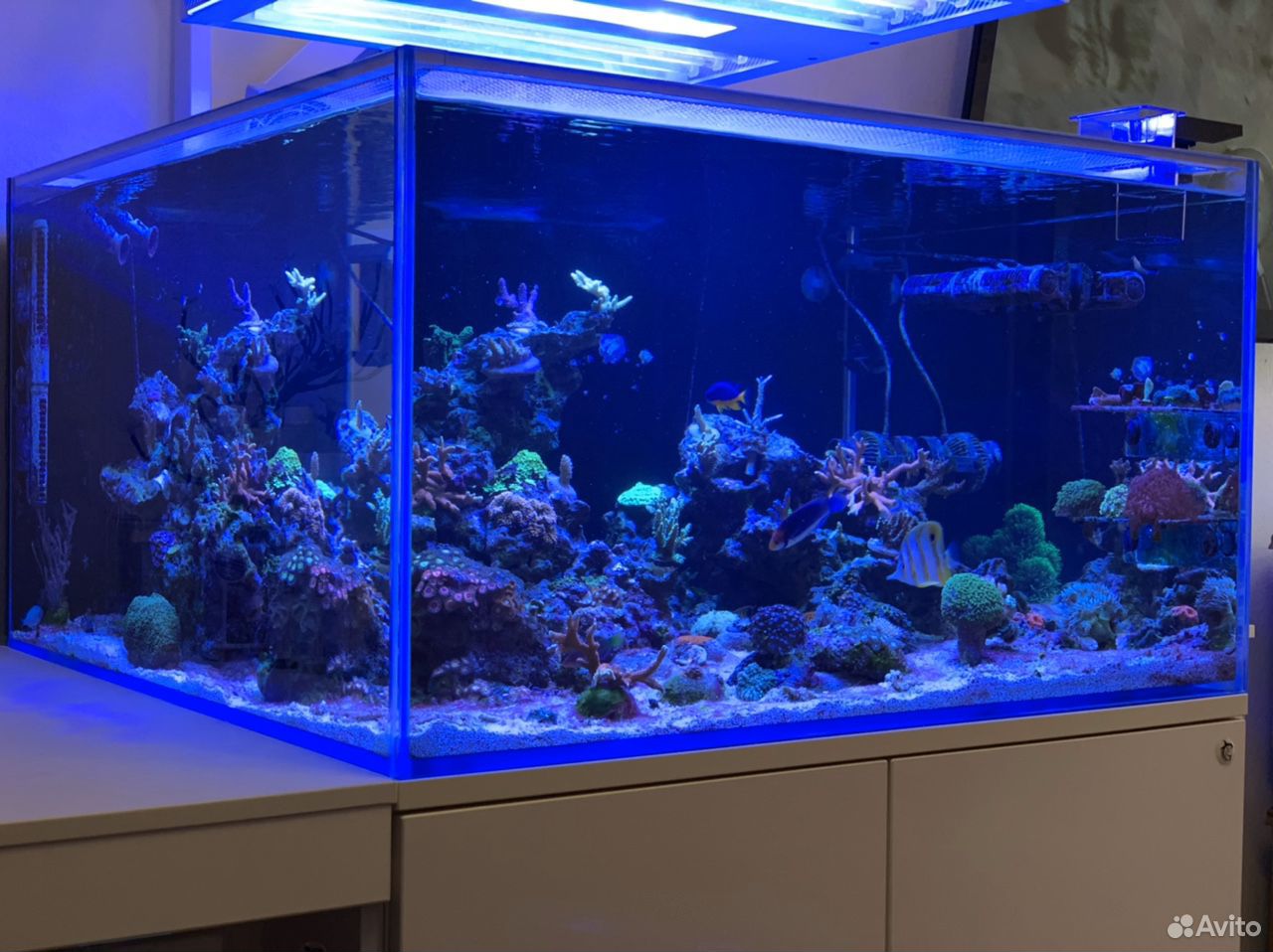 Светильник Pacific Sun pandora 145w+8/24w