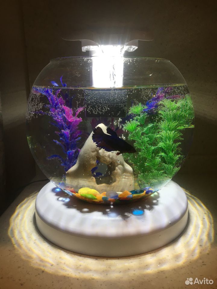 Аквариум