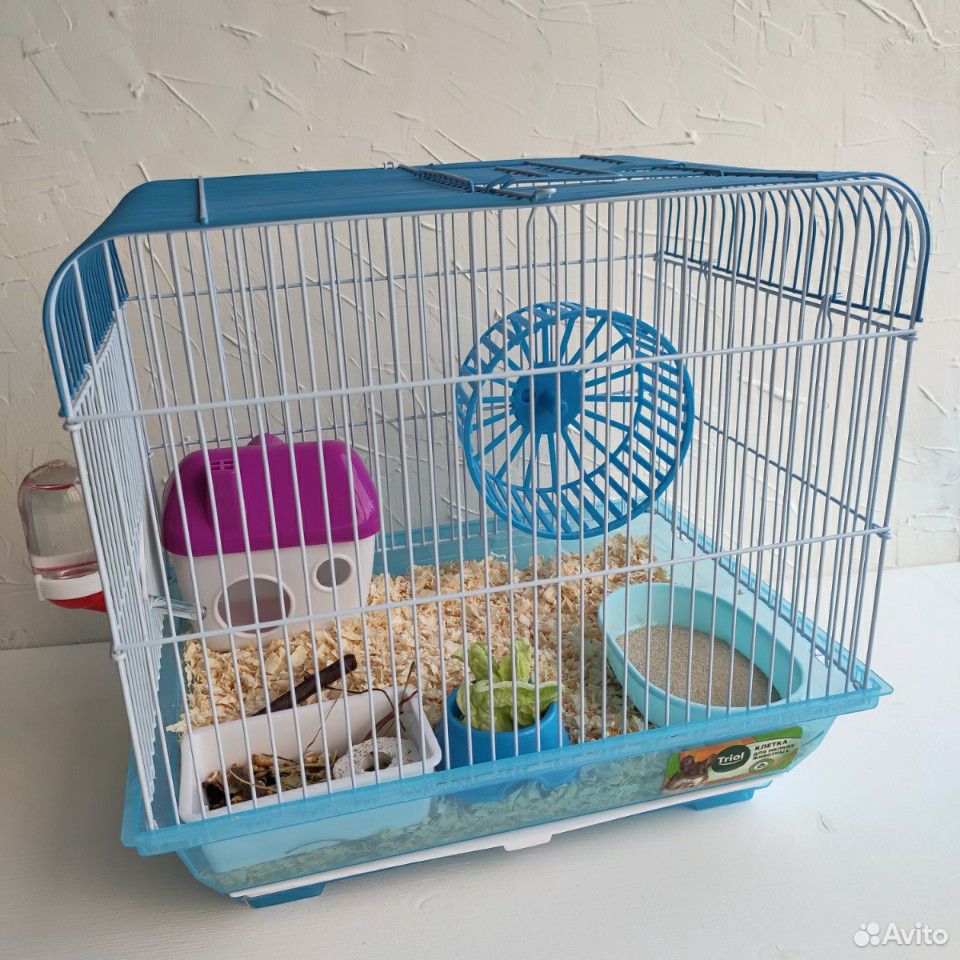 Клетка с хомяком+все необходимое