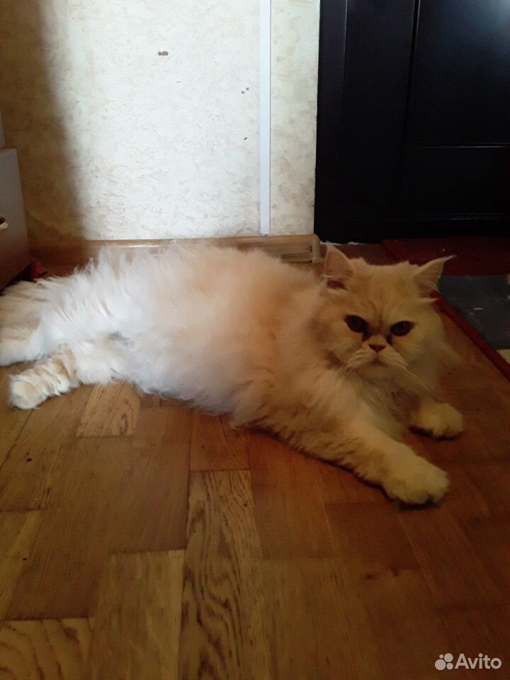 Персидская