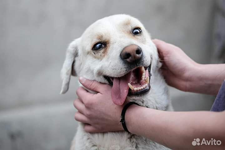 Семён Семёнович