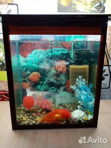 Продам аквариум