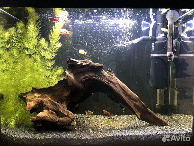 Аквариум