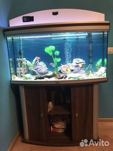 Аквариум aquatlantis ambiance horizon