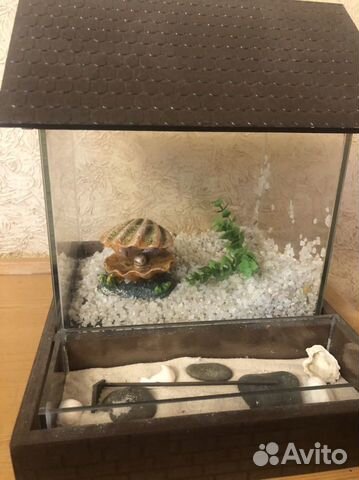 Аквариум с подогревом и фильтром