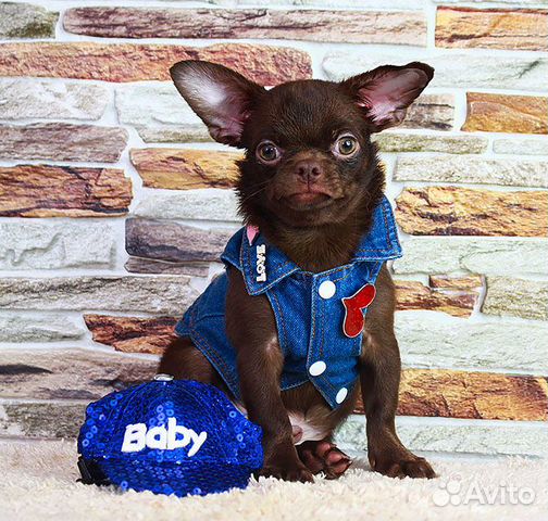 Брутальный чишка-мальчишка