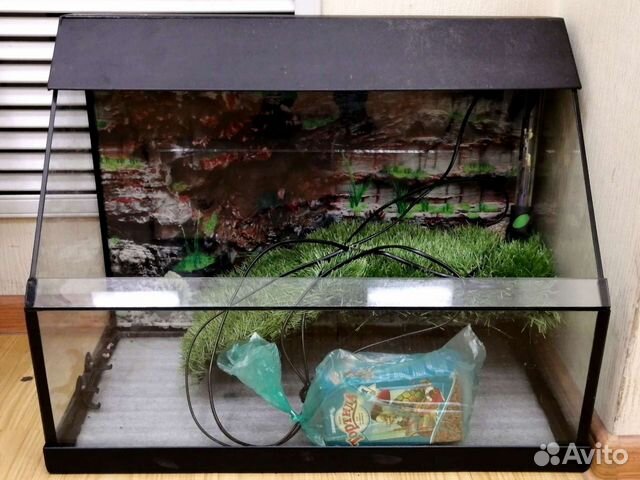 Террариум для красноухой черепахи