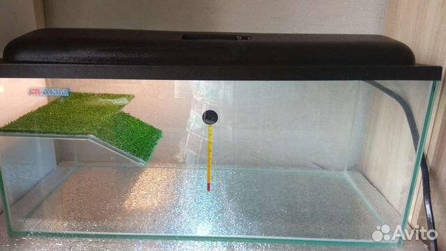 Аквариум для красноухой черепахи
