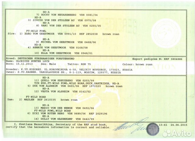 Щенки курцхаара от великолепных производителей