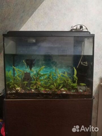 Аквариум 100 литров