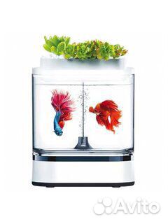 Акваферма Xiaomi Geometry Mini Lazy Fish Tank Pro