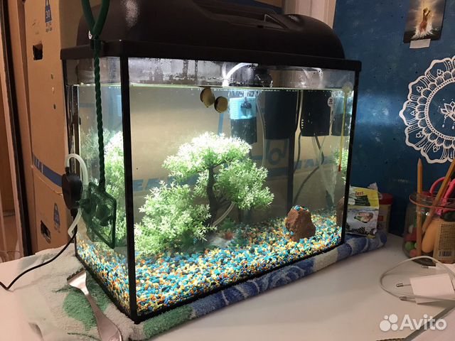 Аквариум 30 л