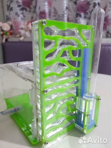 Формикарий (муравьиная ферма)