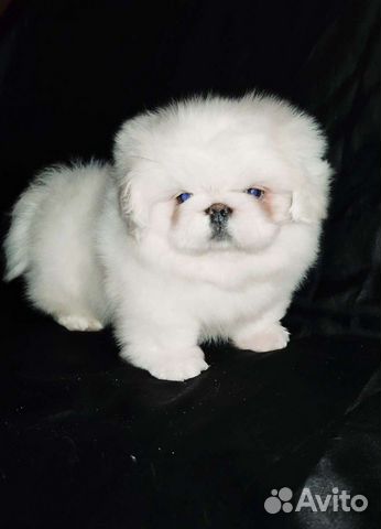 Мальчик снеговичок