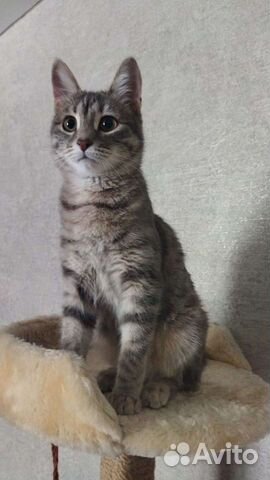 Чудесная малышка