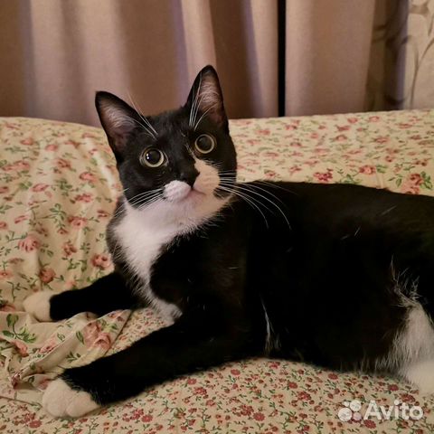 Никому не нужная Дуся