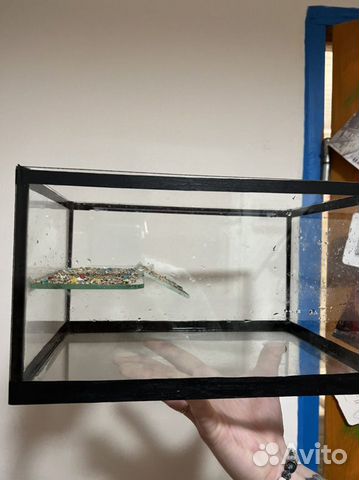 Небольшой аквариум для черепахи - черепашник