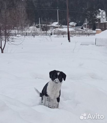 Маленькая Соня ищет свою семью