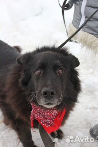 Эти глаза заслужили дом, заберите ее в любовь