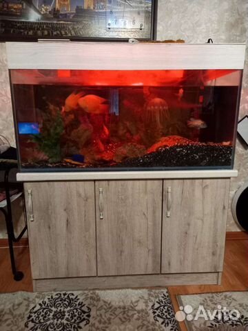 Аквариум с тумбой и рыбками