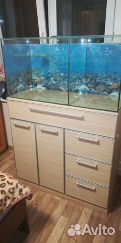 Аквариум