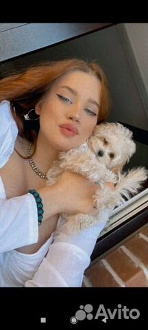 Мальтипу микро