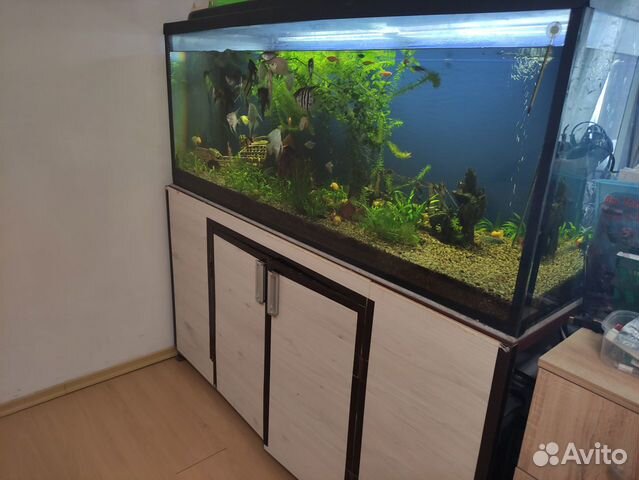 Аквариум 450 л