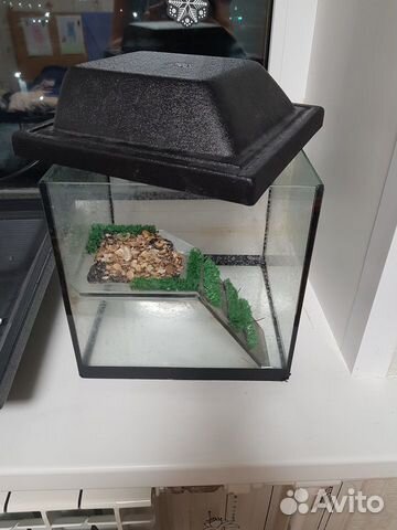 Террариум для красноухой черепахи