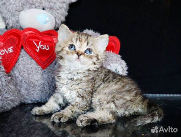 Настоящая кудрявая кукла в вашу семью(с видео)