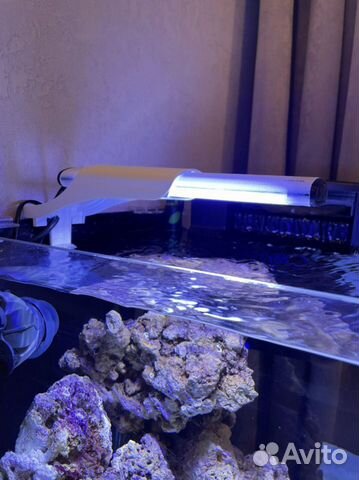 Светильник доя аквариума