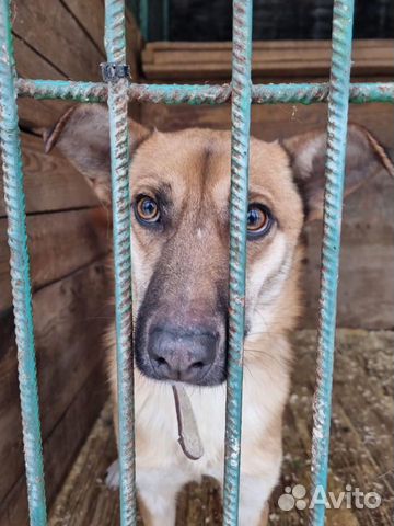 Лишь погасший мир в моих глазах