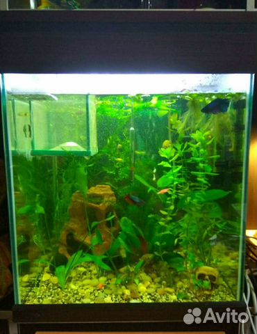Аквариум куб Aquatech 100 л Nano Cube