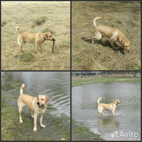 Ищем даму сердца для долгих- зимних вечеров