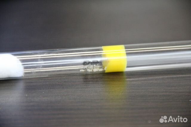 Муравьи Messor Structor