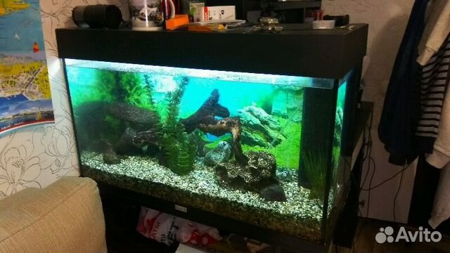 Juwel Rio 125 + тумба, комперессор+рыбки+грунт+