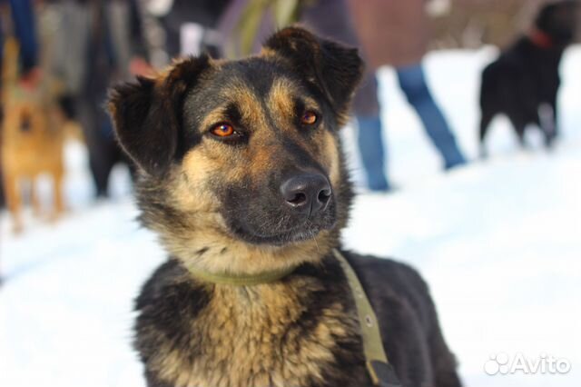 Стейси ищет дом