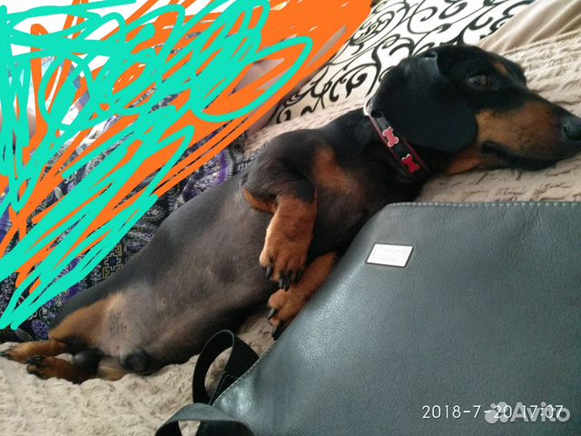 Вязка