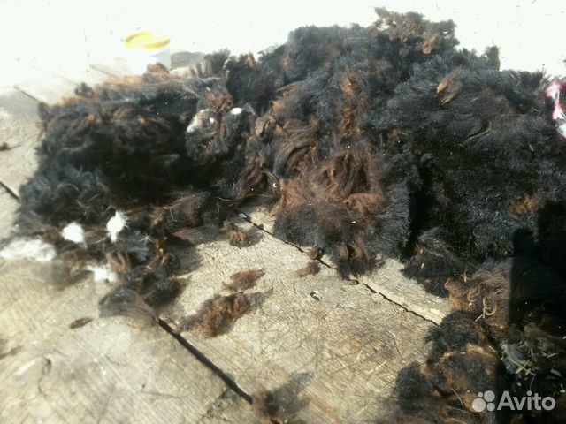 Шерсть овечья