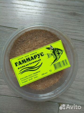 Гаммарус Дафния