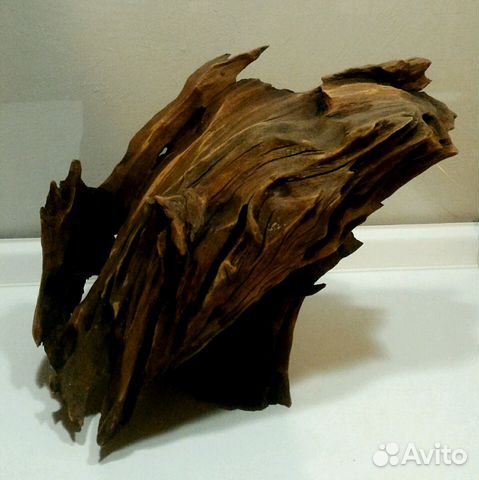 Коряга Мангр